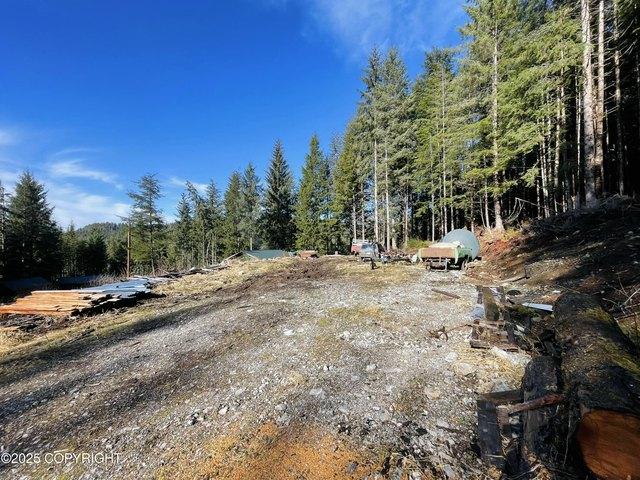 L2B9 Huckleberry Dr, Naukati Bay, AK 99950