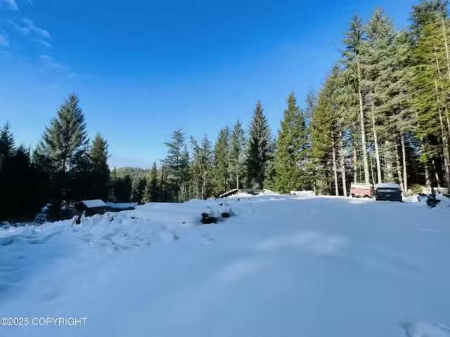 l2B9 HUCKLEBERRY DRIVE, NAUKATI BAY, AK 99000 Vacant Land For.