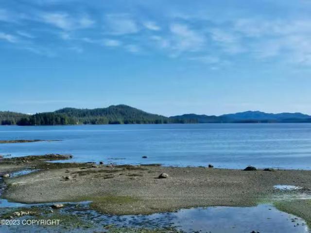 l2B10 WHALES PASS, WHALE PASS, AK 99000 Vacant Land For Sale.