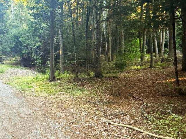 L31 Clarkson Rd, Chestertown, NY 12817 | MLS #202526