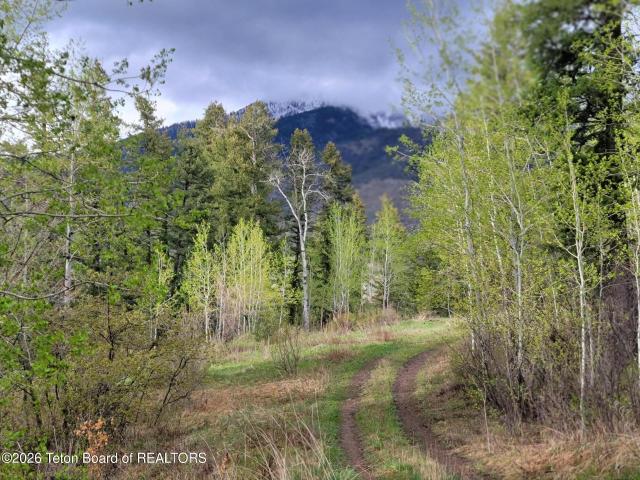 L31 b4 Cutthroat Run, Irwin, ID 83428 | MLS #26 654