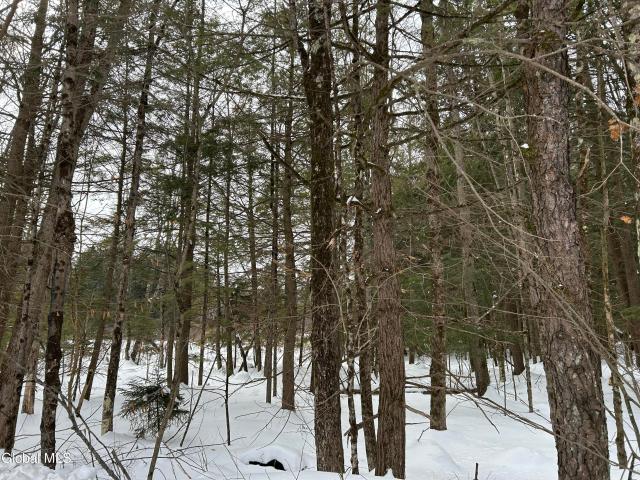 L32.11 James Dr, Broadalbin, NY 12025 | MLS #202611 | Compass