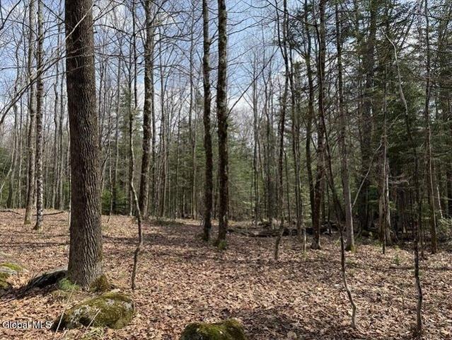 L34 3 Youngs Rd Unit 3, Schroon Lake, NY 12870