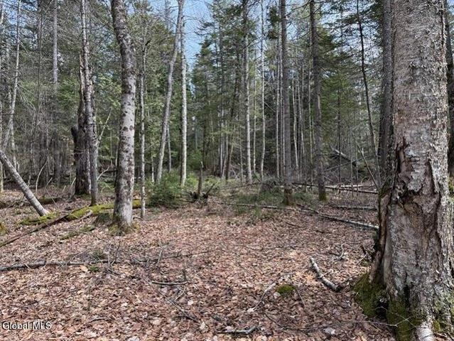 L34 1 Youngs Rd Unit 1, Schroon Lake, NY 12870