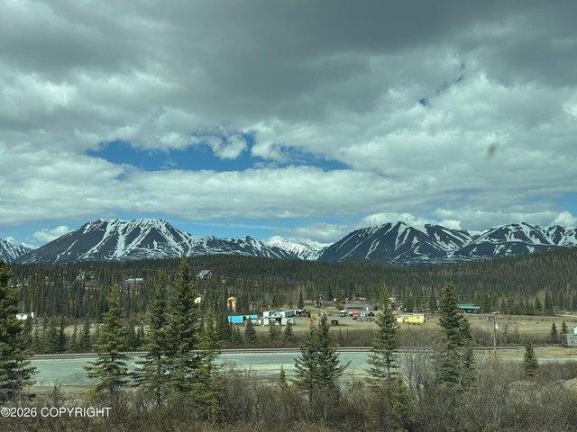 L35 Wonderstruck Ave, Cantwell, AK 99729