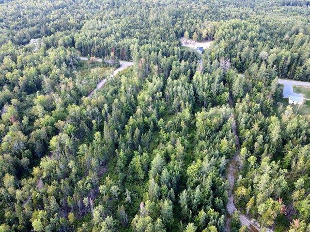 L37 AND 72 Beaulieu Rd, Connor Township, ME 04736