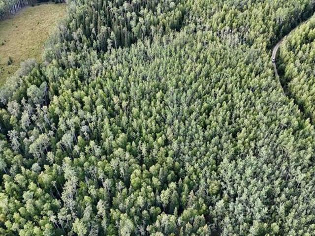 L39 Cathy Ln Lot 39, Delta Junction, AK 99737