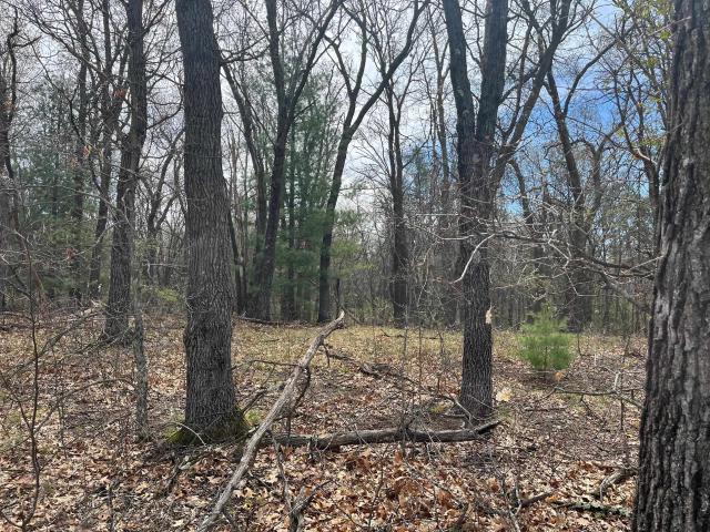 L39 S Duck Creek Dr, Friendship, WI 53934 | MLS #1976 | Compass