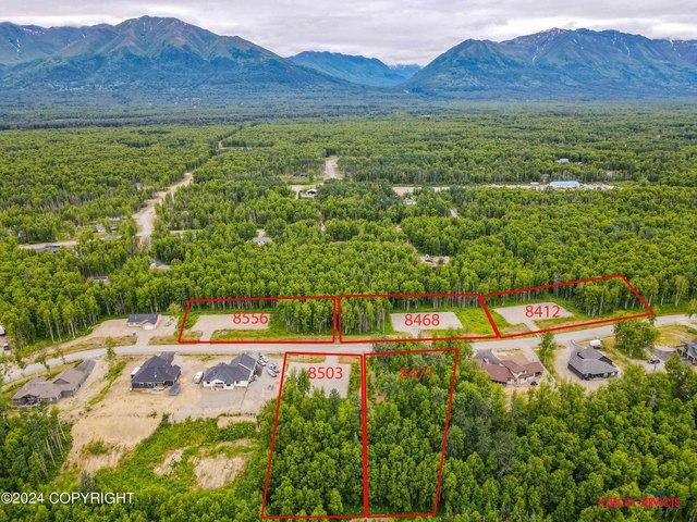L7 E Windy Woods Loop, Palmer, AK 99654