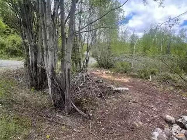 l7 ERIKA DRIVE, BIG LAKE, AK 99654 Vacant Land For Sale MLS#.
