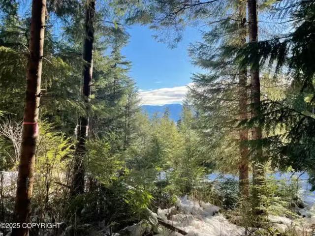 l7B13 BAYVIEW DRIVE, NAUKATI BAY, AK 99000 Vacant Land For Sal.