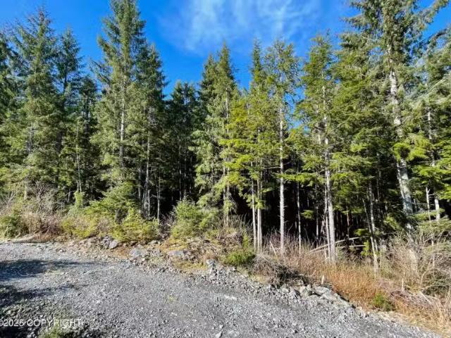 l7B13 BAYVIEW DRIVE, NAUKATI BAY, AK 99950 Vacant Land For Sal.