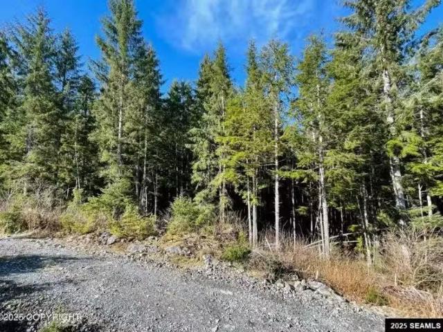 l7B13 BAYVIEW DRIVE, NAUKATI BAY, AK 99950 Vacant Land For Sal.