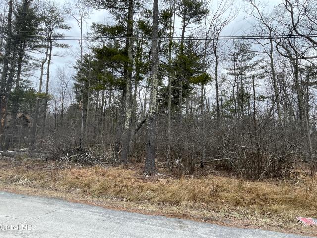 L40.000 Stone Mt Rd, Round Top, NY 12473 | MLS #202614 | Compass