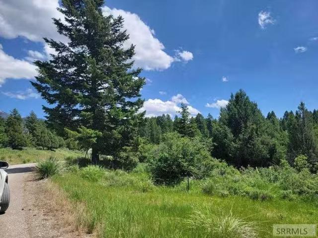 L45b4 CUTTHROAT, IRWIN, ID 83428 648813230
