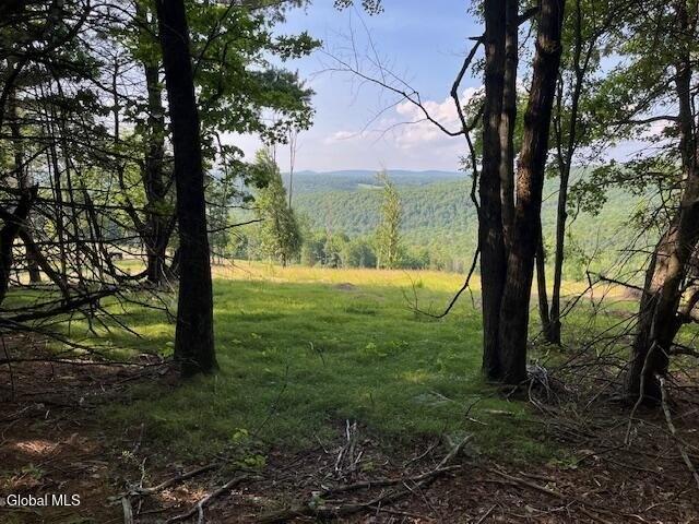 L49 Laura Ln, Broome, NY 12122