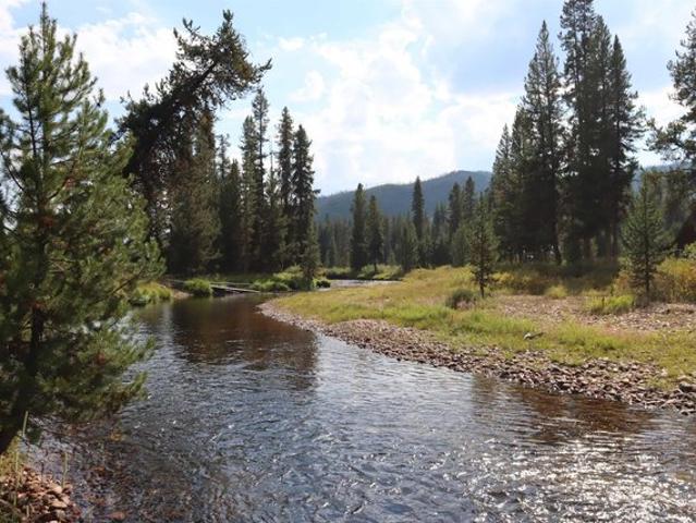 L49 Secesh River Rd, McCall, ID 83638