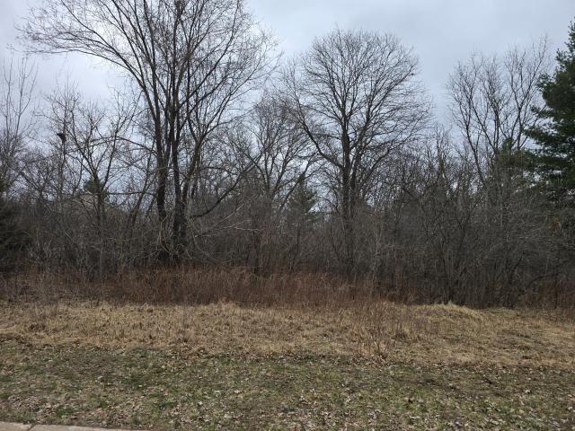 L4 b1 288th Ave NW, Zimmerman, MN 55398 | MLS #7052 | Compass