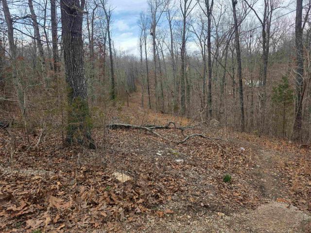 L4 B2 Bald Eagle Trail
