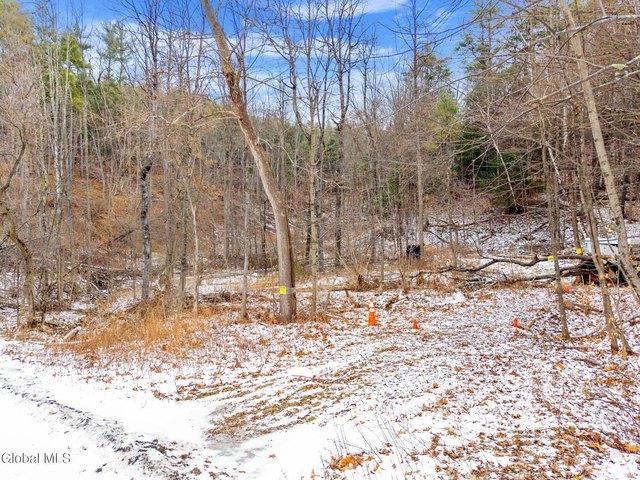 L4 Flat Creek Rd, Gilboa, NY 12076