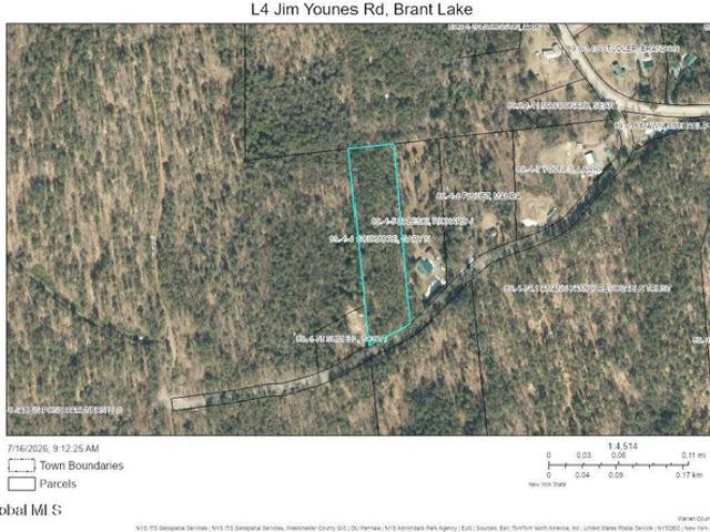 L4 Jim Younes Rd, Brant Lake, NY 12815