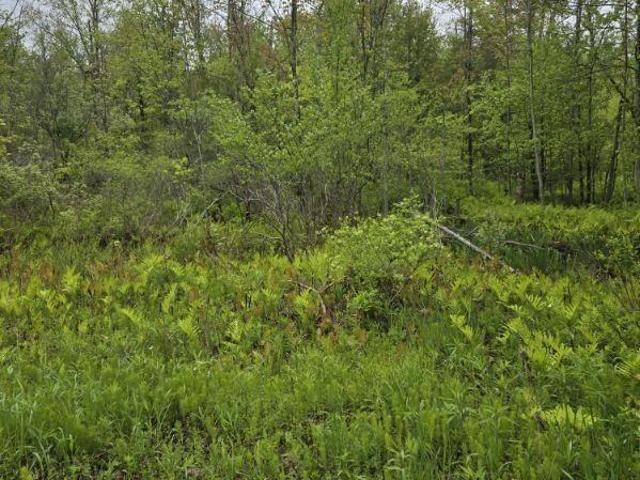 L4 Johnson Rd, Glenville, NY 12302 | MLS #202611