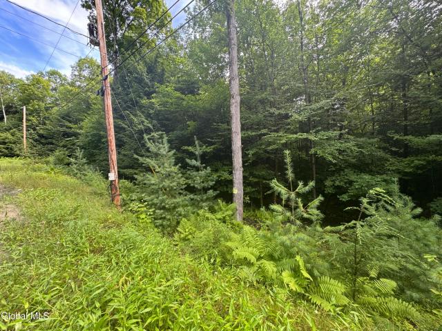 L52 Iroquois Trail