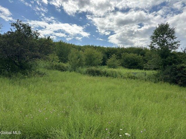 L53 New York 66, Malden Bridge, NY 12115