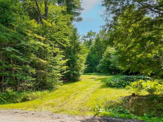 L59 Horseshoe Pond Road