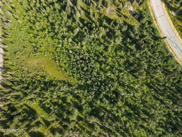 L5 Mountain Air Dr, Anchorage, AK 99516