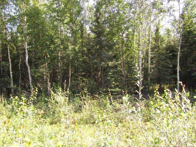 L5 Old Harbor Rd Lot 5, Delta Junction, AK 99737