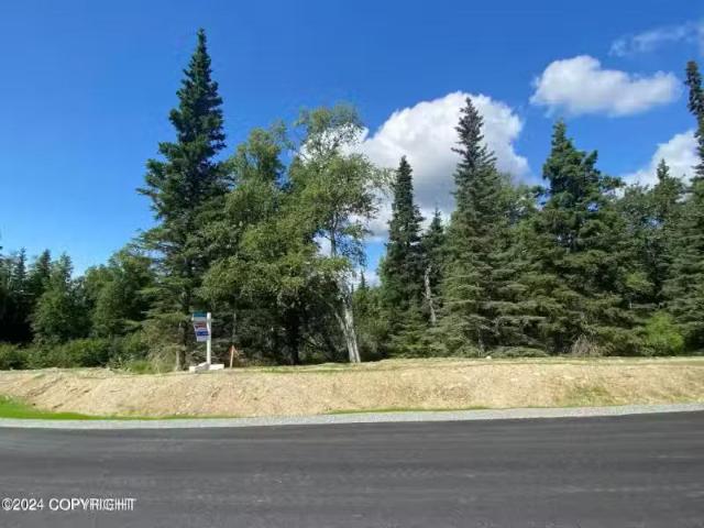 l5 SNOW FLAKE CIRCLE, ANCHORAGE, AK 99516 Vacant Land For Sale.