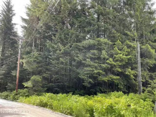 l5B4 HUCKLEBERY DRIVE, NAUKATI BAY, AK 99000