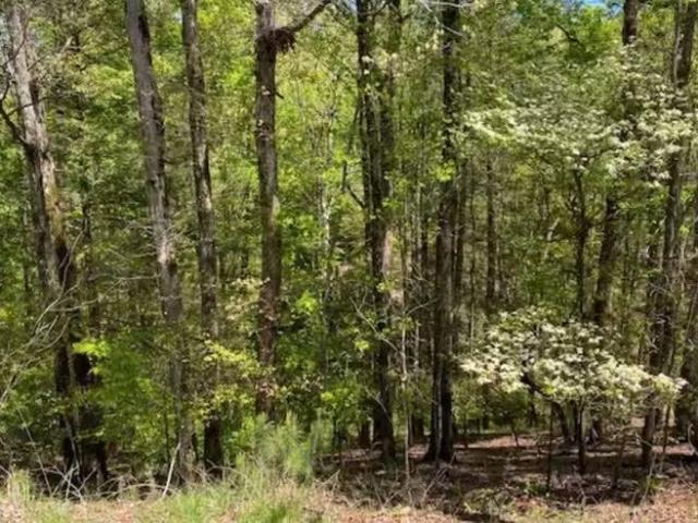 L812 Myna Dr, Ellijay, GA 30540 MLS 10357609