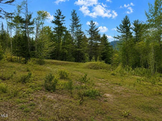L88 Highview Lane # Lot 4