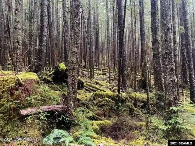 l8 LEGAL ADDRESS ONLY, NAUKATI BAY, AK 99000 Vacant Land For S.