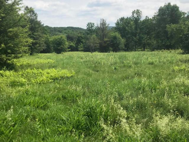 L8 Lower Cady Road