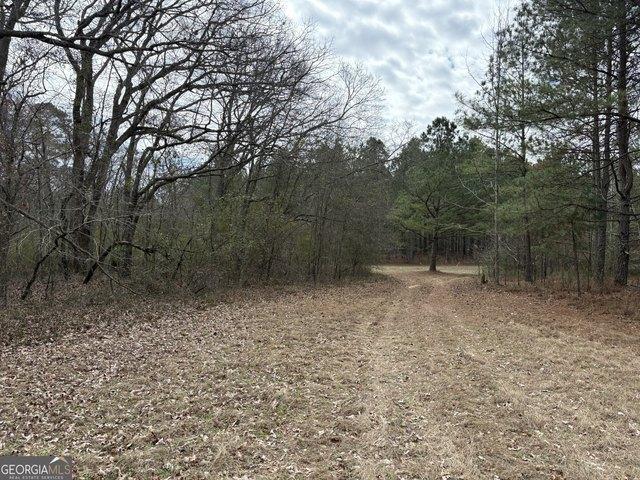 L8 Quaker Rd, Keysville, GA 30816
