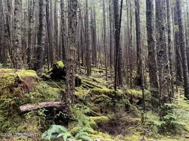l8 SARKAR, NAUKATI BAY, AK 99000 Vacant Land For Sale MLS# 24.