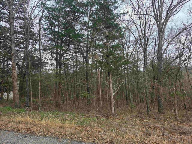 L9 B3 Mineola Drive