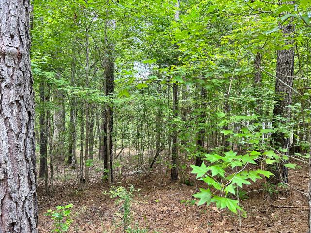 L9 b18 grandview drive