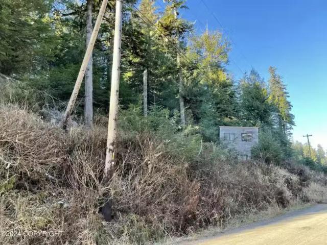 l9 B5 BEACH ROAD, WHALE PASS, AK 99921 Vacant Land For Sale M.
