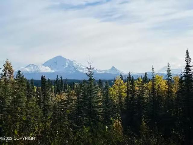 l9 B9 TAZLINA SW SUB, COPPER CENTER, AK 99573 Vacant Land For.