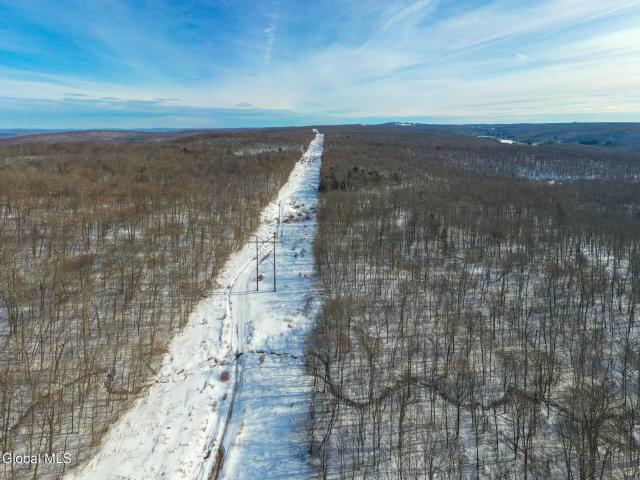 L9 Methol Cooks Falls, Roscoe, NY 12776 | MLS #202611 | Compass