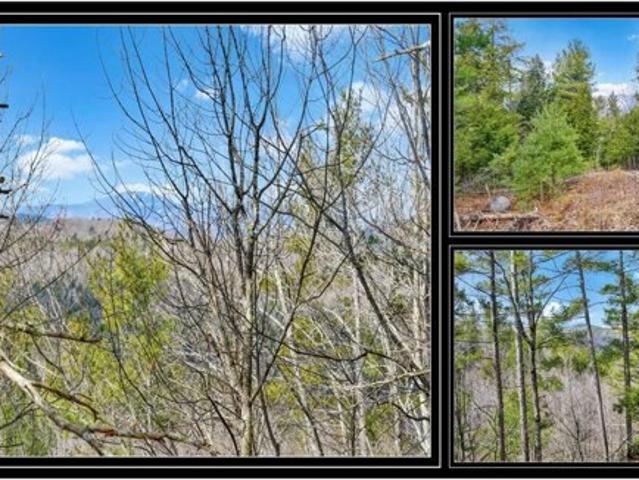 L Mountain Meadows Rd, Adirondack, Plot For Sale