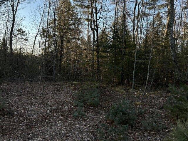 L Nelson Ridge Road N, Washington, Plot For Sale