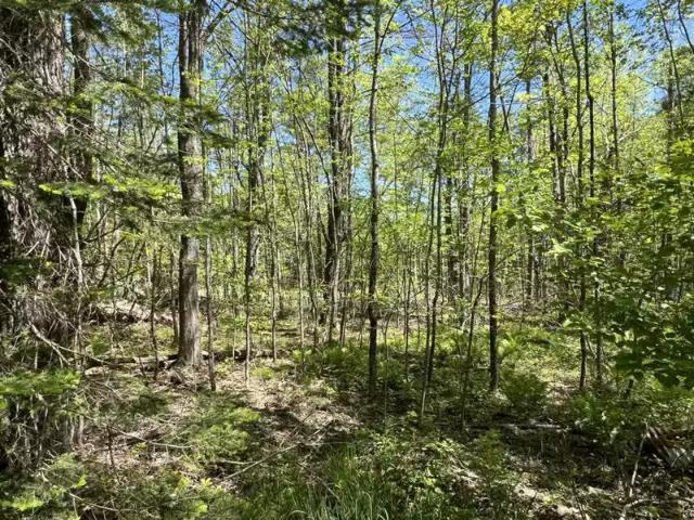 l OT A 1 CATHEDRAL PINES ROAD, DAMARISCOTTA, ME 04543 Vacant L.