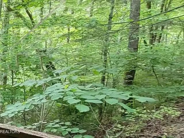 l OT 0005 KING DRIVE, GATLINBURG, TN 37738 Vacant Land For Sal.