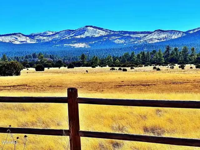 l OT 026T, VERNON, AZ 85940