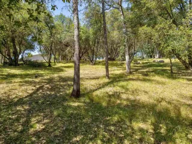 l OT 106 APPLE VALLEY DRIVE, SONORA, CA 95370 Single Family Re.